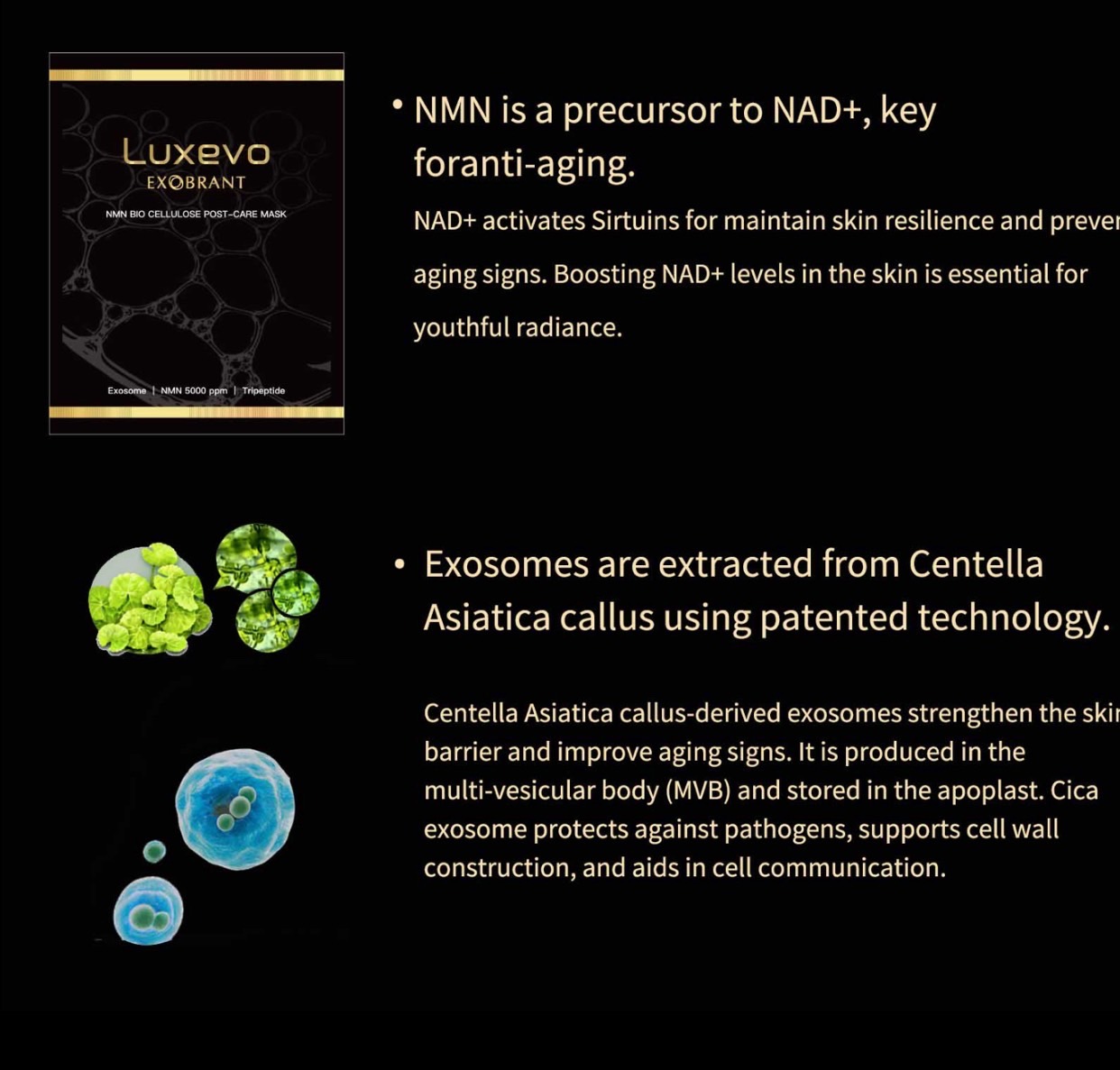 NMN Nicotinamide Mononucleotide skin care: The Anti-Aging Breakthrough
